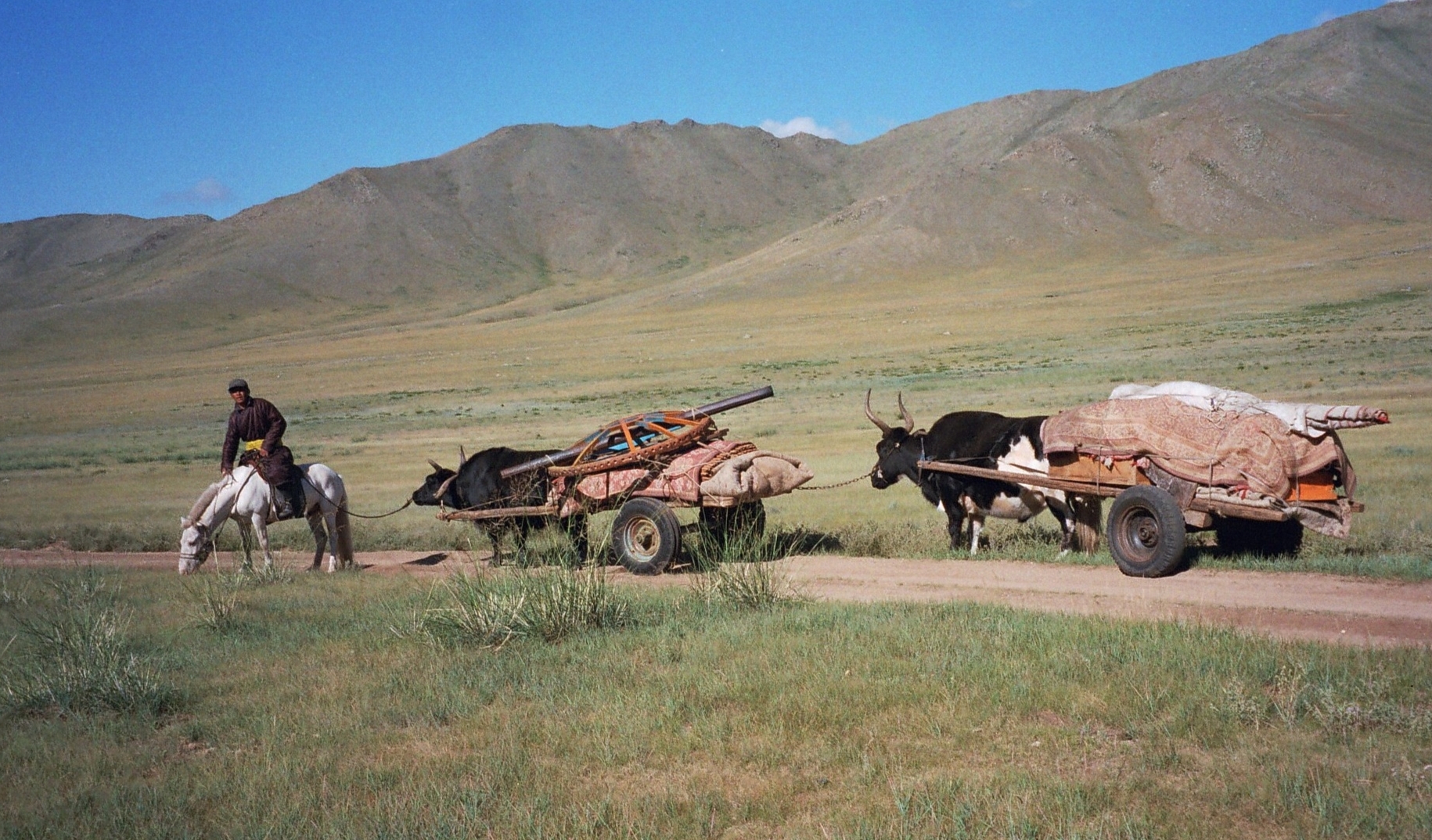 What is a Yurt? Everything You Need to Know - Silk Road Yurts